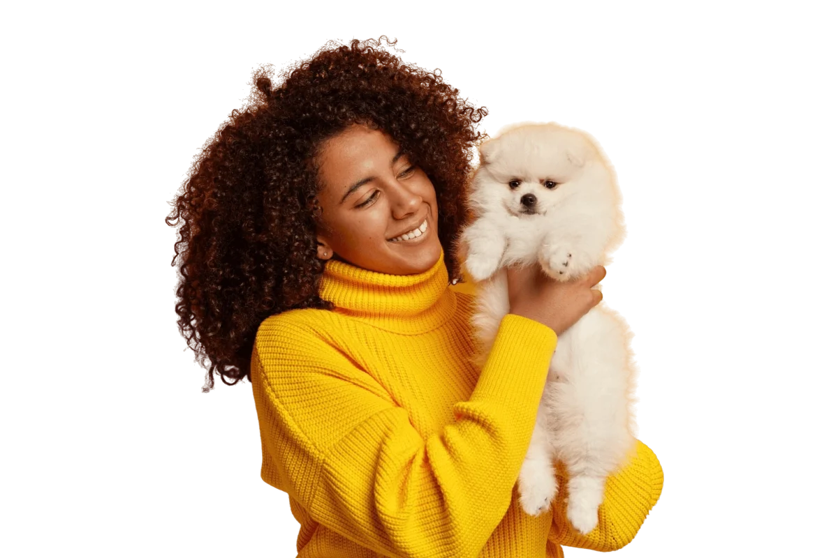 Gestão clínicas veterinárias | DataOn Sistemas - Soluções para Gestão ...